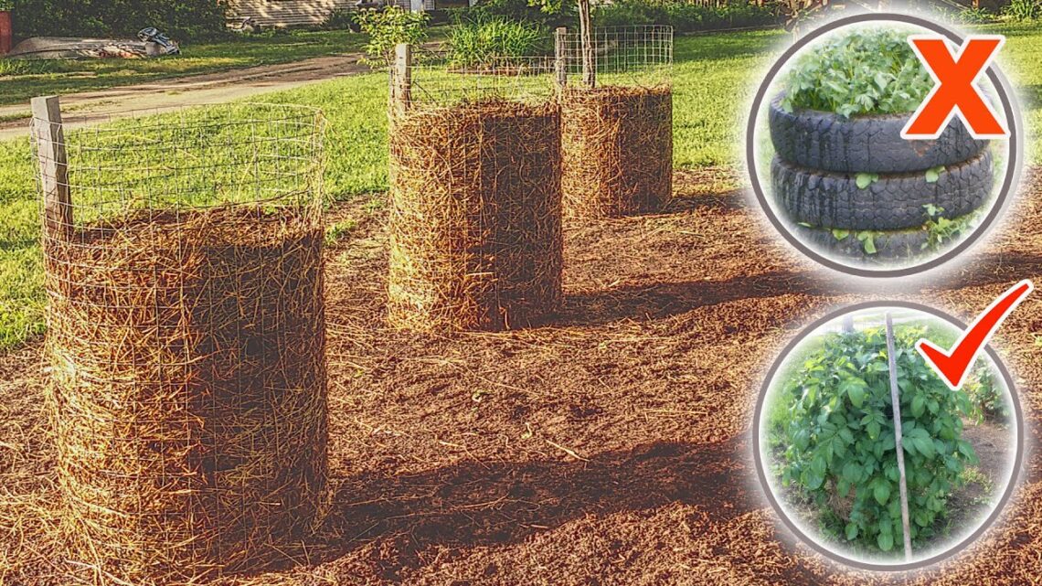 Construire une Tour à Pommes de Terre : Guide Facile pour une Récolte ...